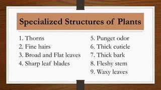 Q2-Week3- Aquatic and Terrestrial Plants.pptx