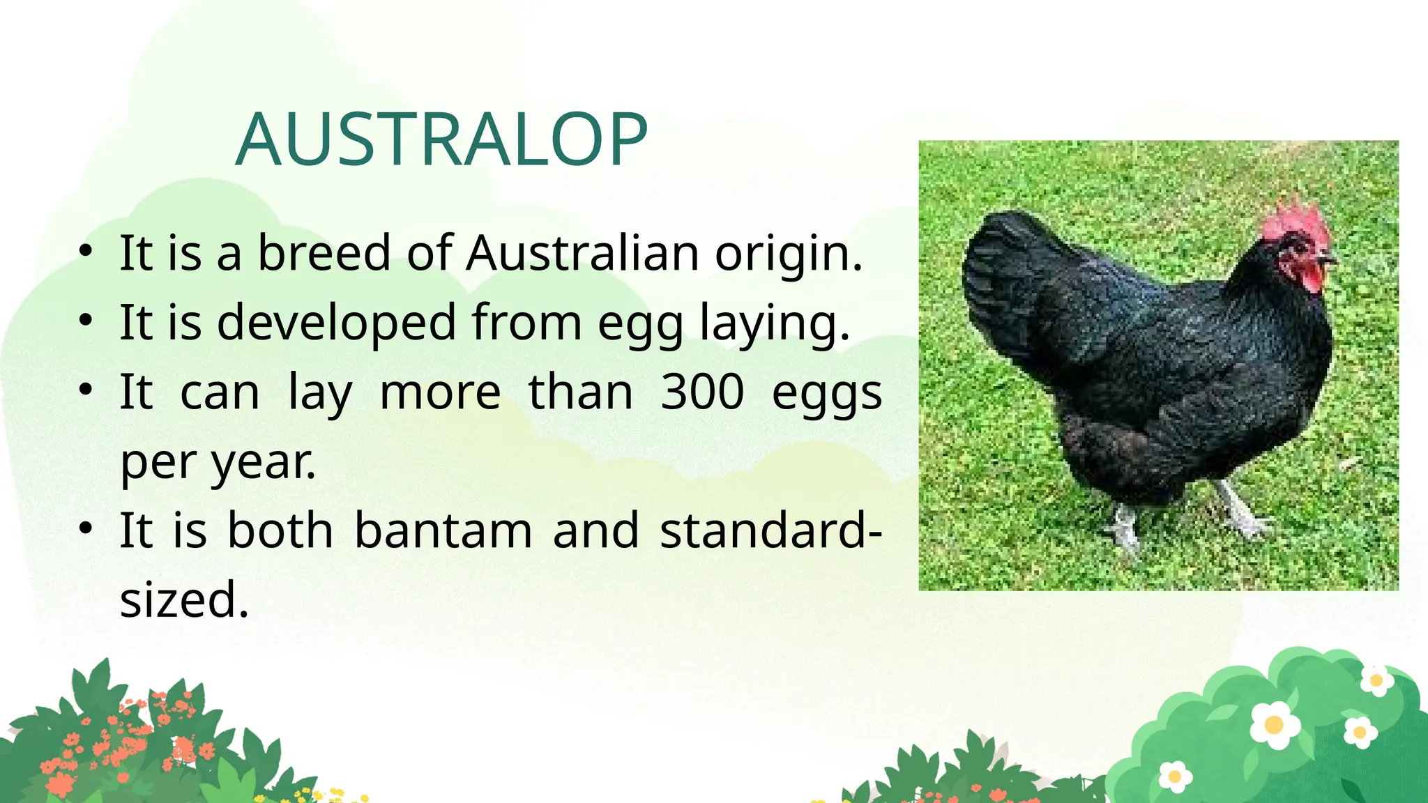 Q2-Week 4-Breed of Farm Animals (Part1).pptx