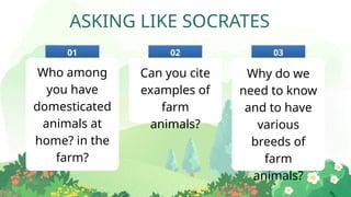 Q2-Week 4-Breed of Farm Animals (Part1).pptx