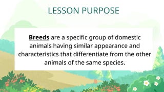 Q2-Week 4-Breed of Farm Animals (Part1).pptx