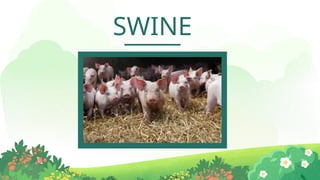 Q2-Week 4-Breed of Farm Animals (Part1).pptx