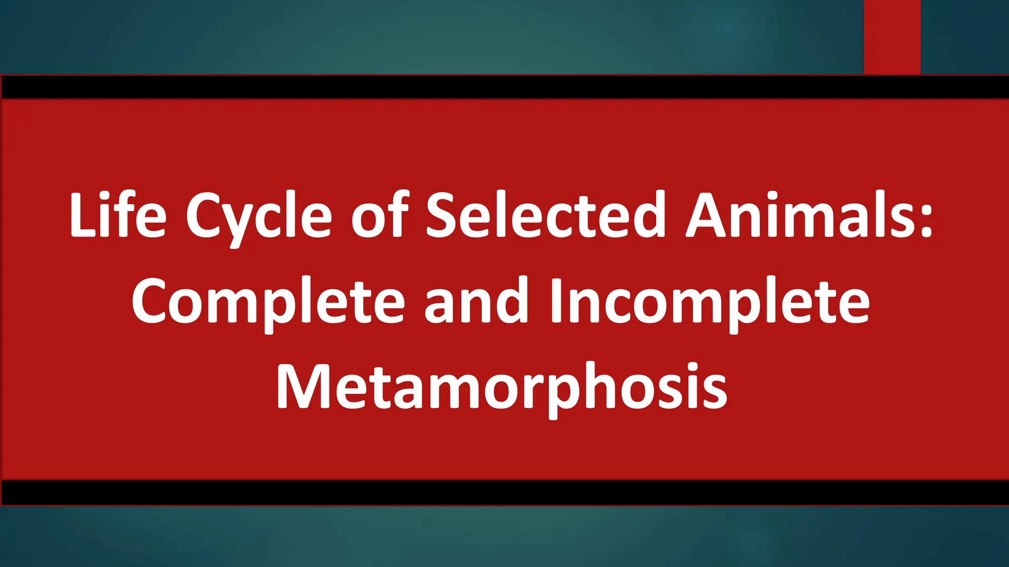 Q2-Week4- Life Cycle of Organisms.pptx