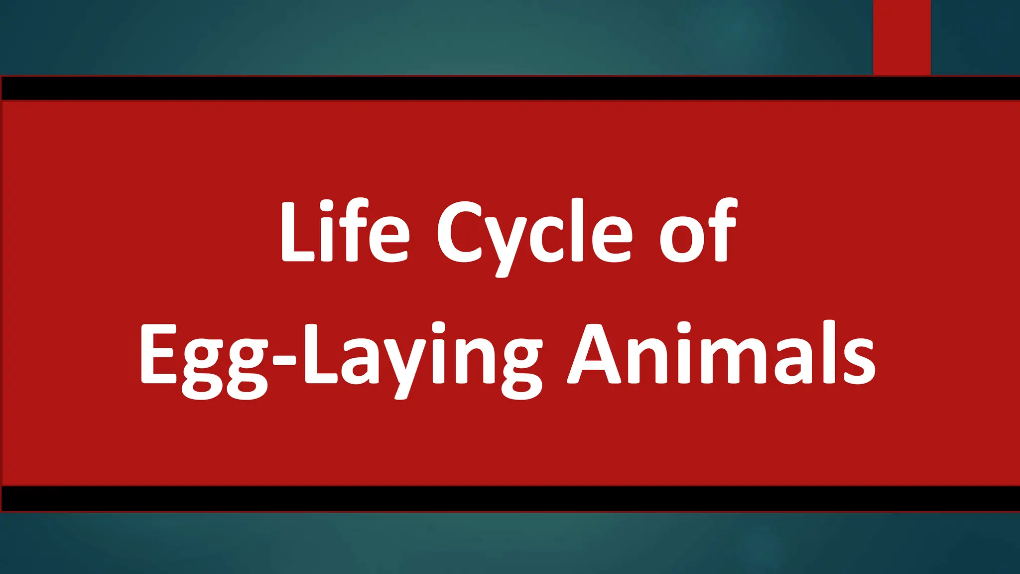 Q2-Week4- Life Cycle of Organisms.pptx