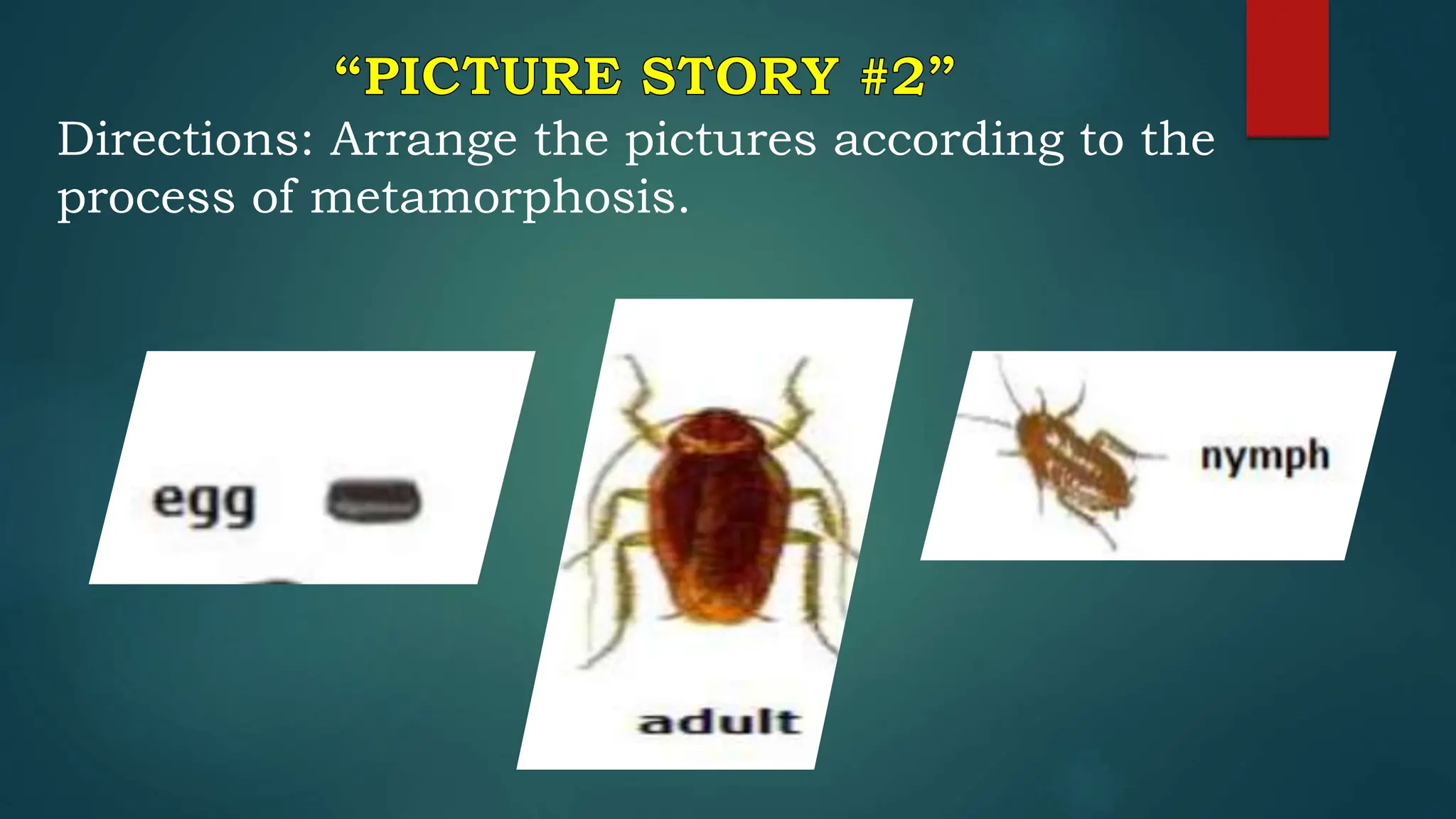 Q2-Week4- Life Cycle of Organisms.pptx