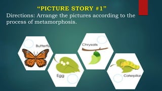 Q2-Week4- Life Cycle of Organisms.pptx