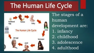Q2-Week4- Life Cycle of Organisms.pptx