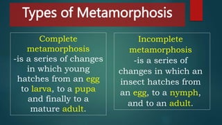 Q2-Week4- Life Cycle of Organisms.pptx
