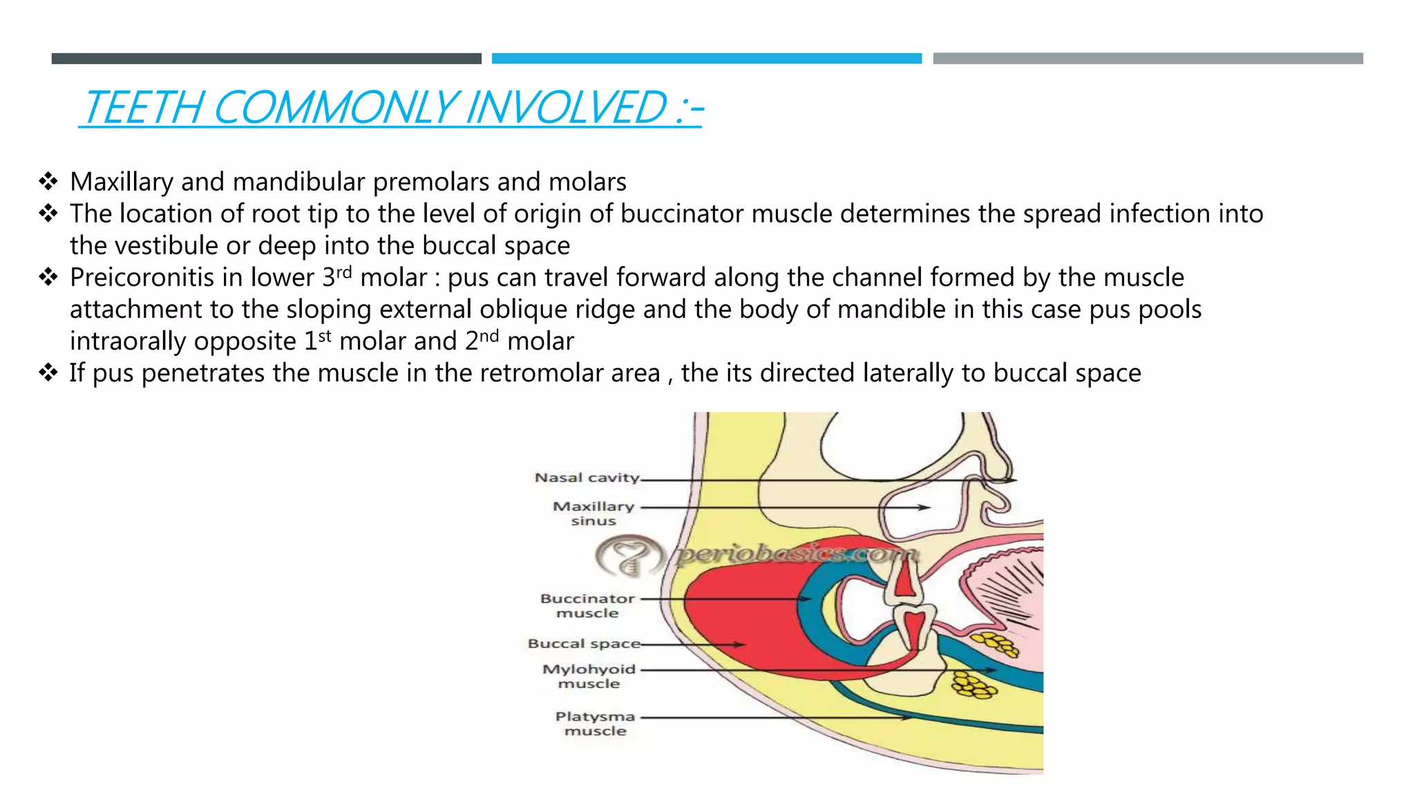 abscesses and phlegmonas of zygomatic , buccal | PPTX