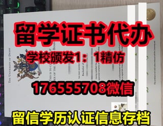UDel录取通知书 | PDF