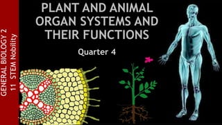 Q2C6L2 Animal Reproduction.pptxQ2C6L2 Animal Reproduction.pptx