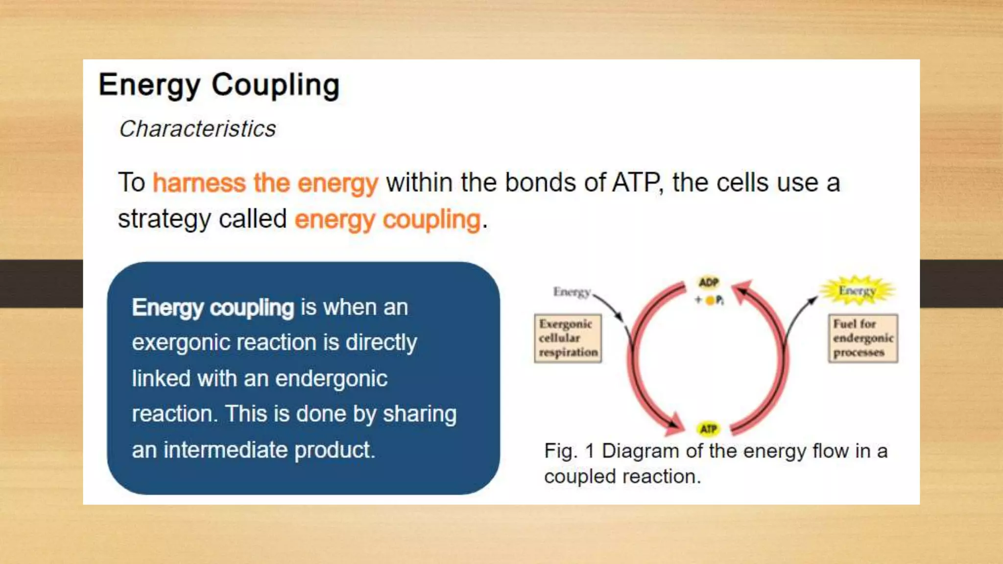 Q2_Coupled Reaction.pptx