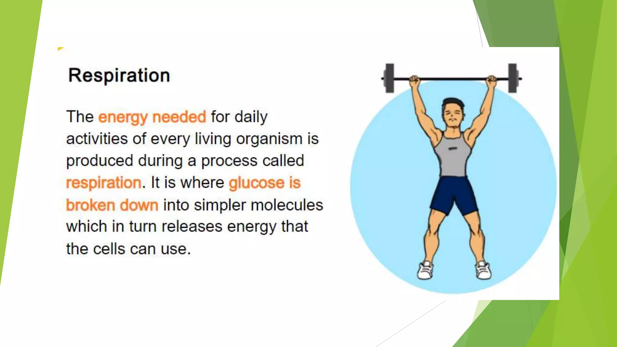 Q2_Differentiating Aerobic from Anaerobic Respirtion..pptx