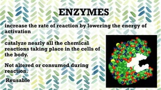 Grade 11 Lesson about Enzymes (Senior High School) | PPTX