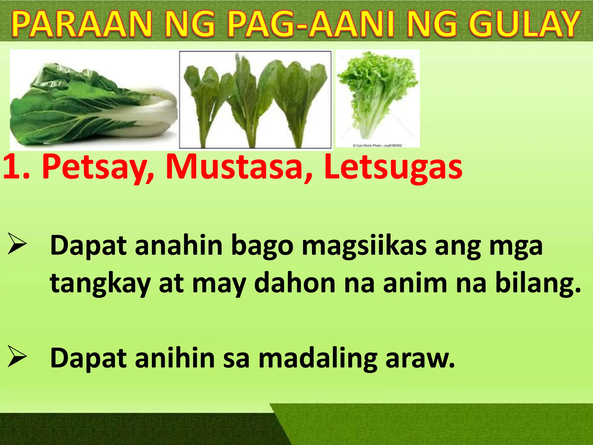 Q2 EPP Kahalagahan sa Pag aani ng Halaman.pptx