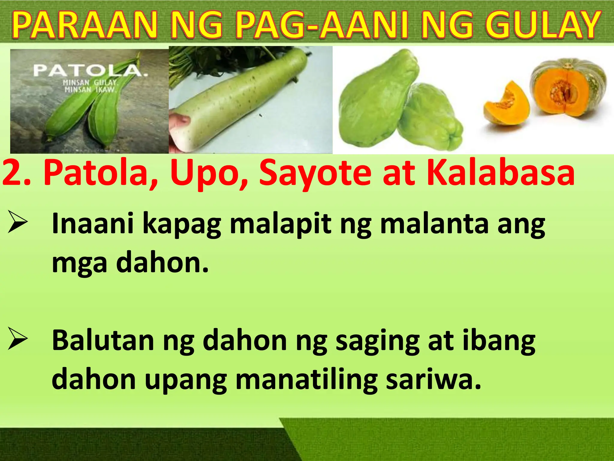 Q2 EPP Kahalagahan sa Pag aani ng Halaman.pptx