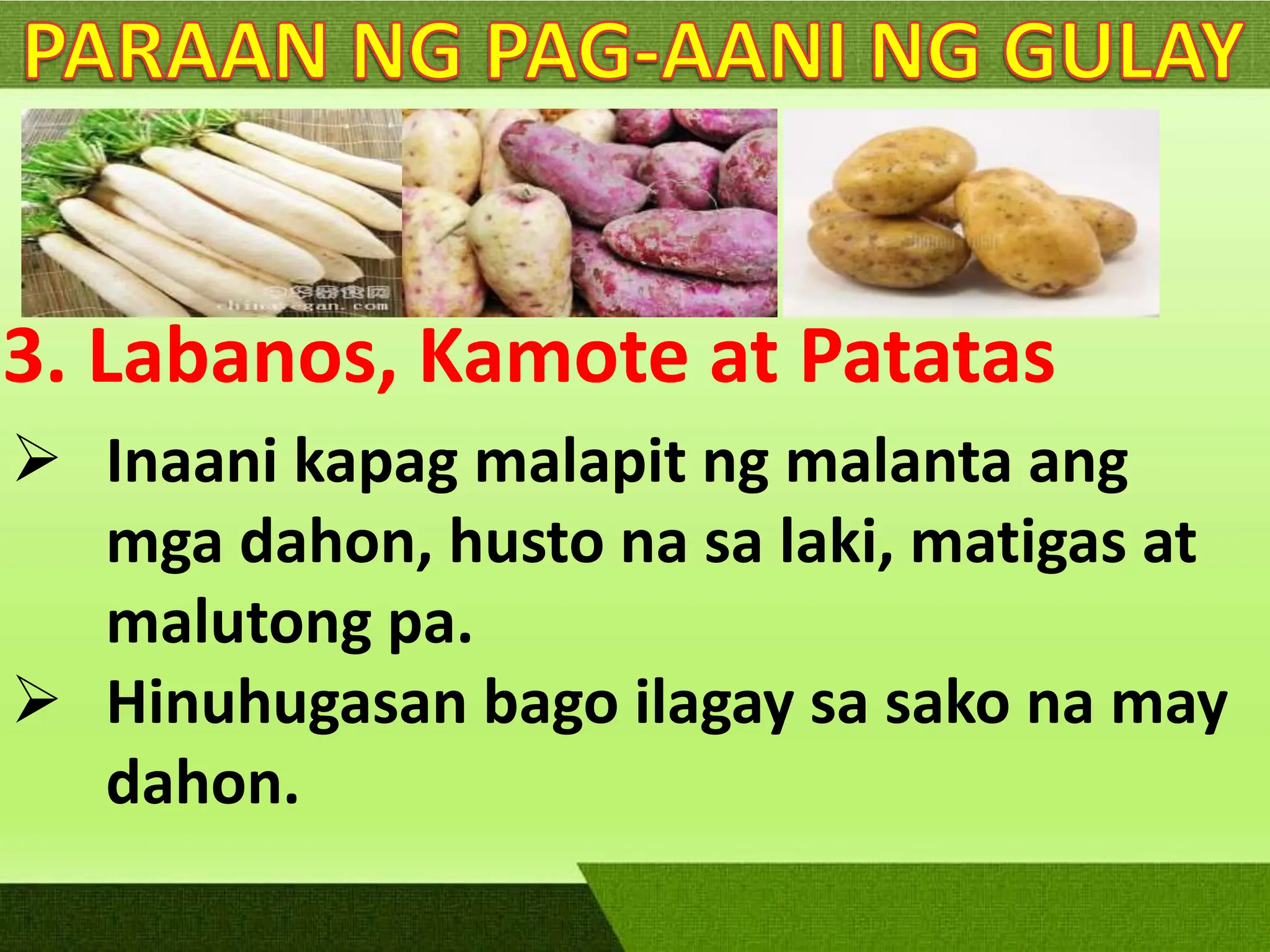 Q2 EPP Kahalagahan sa Pag aani ng Halaman.pptx