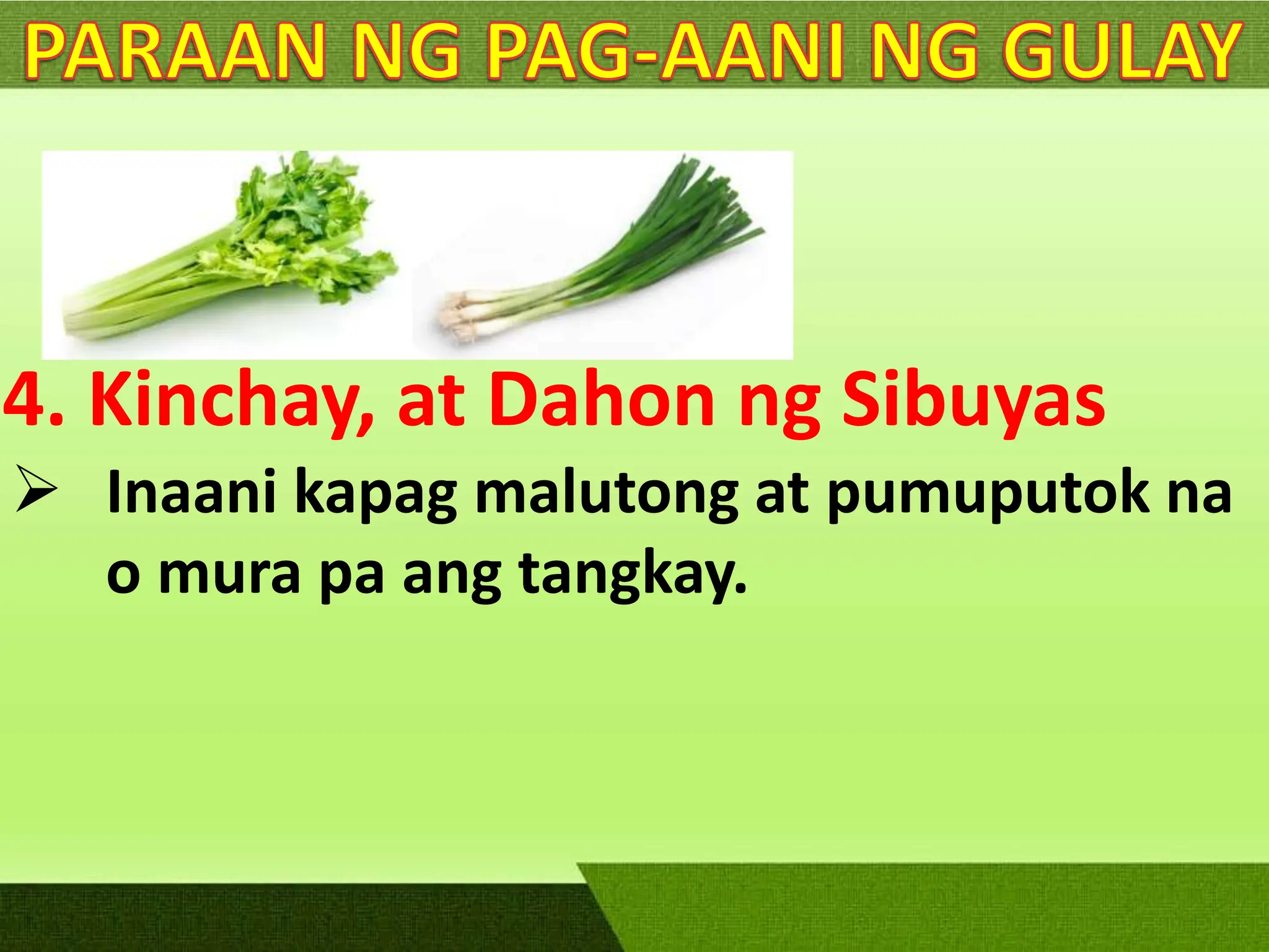 Q2 EPP Kahalagahan sa Pag aani ng Halaman.pptx