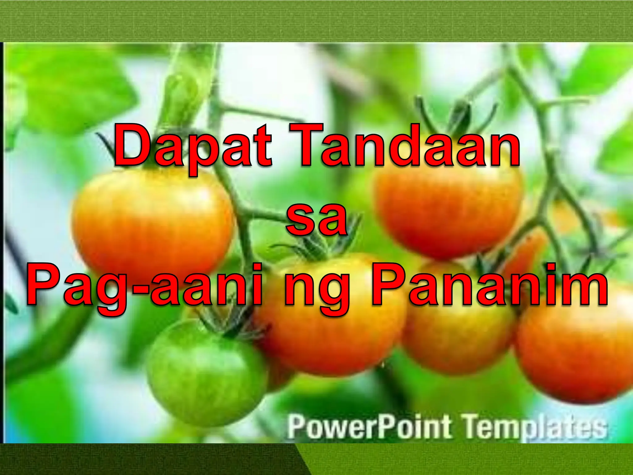 Q2 EPP Kahalagahan sa Pag aani ng Halaman.pptx