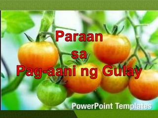 Q2 EPP Kahalagahan sa Pag aani ng Halaman.pptx