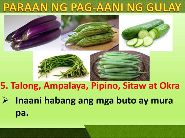 Q2 EPP Kahalagahan sa Pag aani ng Halaman.pptx