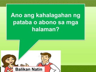 Q2 EPP Kahalagahan sa Pag aani ng Halaman.pptx