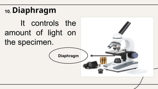 Q2L1 - Compound Microscope - Parts and Functions.pptx