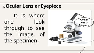 Q2L1 - Compound Microscope - Parts and Functions.pptx | Photography ...