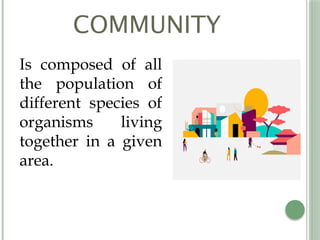 Q2L2 - Levels Of Biological Organization In An Organism.pptx