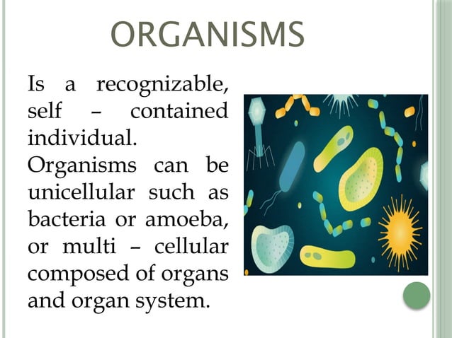 Q2L2 - Levels Of Biological Organization In An Organism.pptx