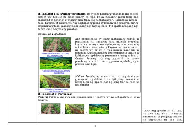 Q2_LE_EPP 4_Lesson 1_Week 123456789.pdff