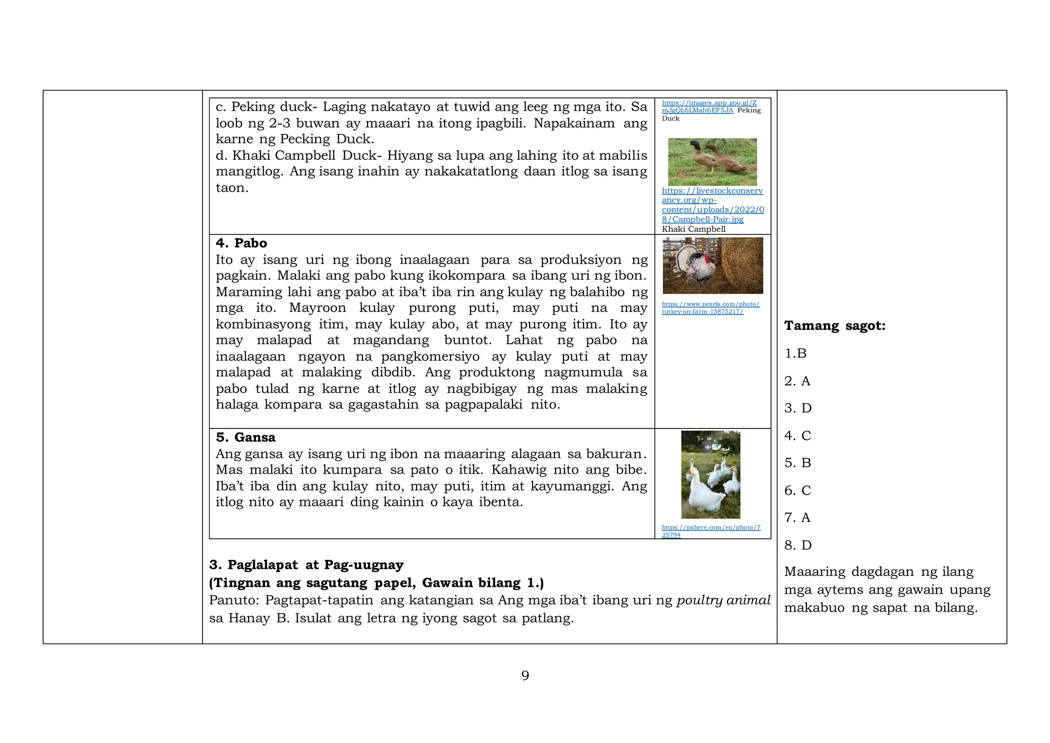 DAILY LESSON EXEMPLAR IN EEP 5 FIRTS QUARTER | PDF
