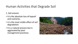 Q2 LESSON 2 SOIL AND SOIL QUALITY.pptx