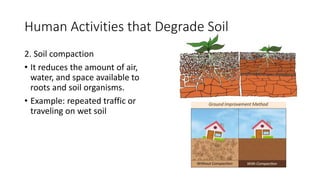 Q2 LESSON 2 SOIL AND SOIL QUALITY.pptx