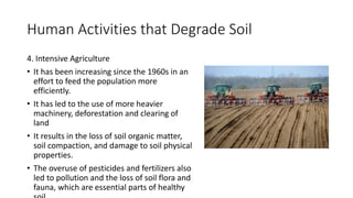 Q2 LESSON 2 SOIL AND SOIL QUALITY.pptx
