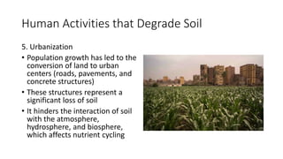Q2 LESSON 2 SOIL AND SOIL QUALITY.pptx