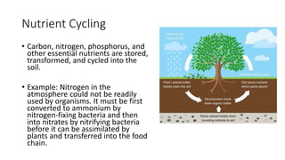 Q2 LESSON 2 SOIL AND SOIL QUALITY.pptx