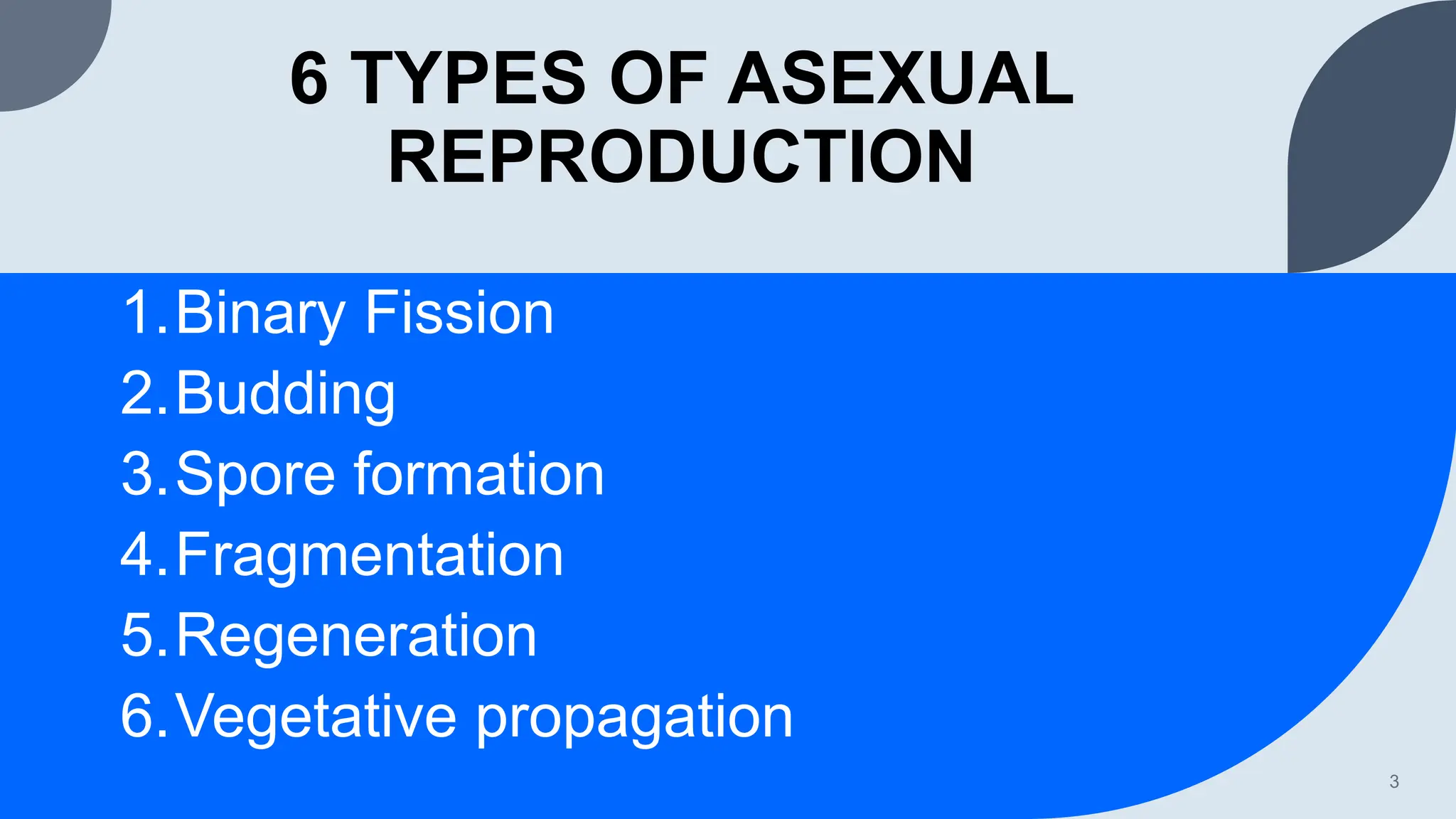 Q2 LESSON 6 Types of Asexual Reproduction.pptx