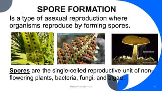 Q2 LESSON 6 Types of Asexual Reproduction.pptx