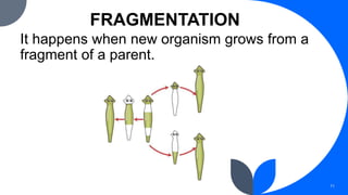 Q2 LESSON 6 Types of Asexual Reproduction.pptx