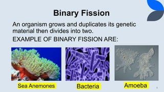 Q2 LESSON 6 Types of Asexual Reproduction.pptx