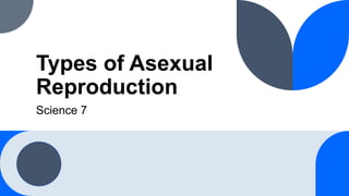 Q2 LESSON 6 Types of Asexual Reproduction.pptx