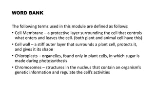 Q2_living things and their environment.pptx
