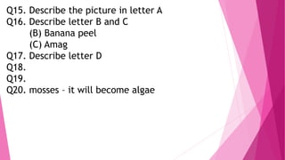 Q2_M3_What are these.pptx