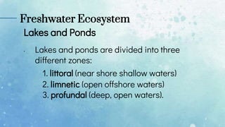 Q2 Module 2 (Earth's Water).pptx
