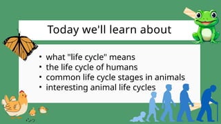 The life cycle of human and animals presentation | PPTX