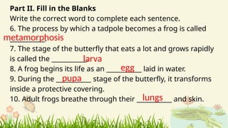 The life cycle of human and animals presentation | PPTX