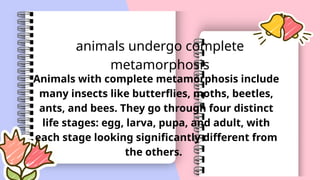 The life cycle of human and animals presentation | PPTX