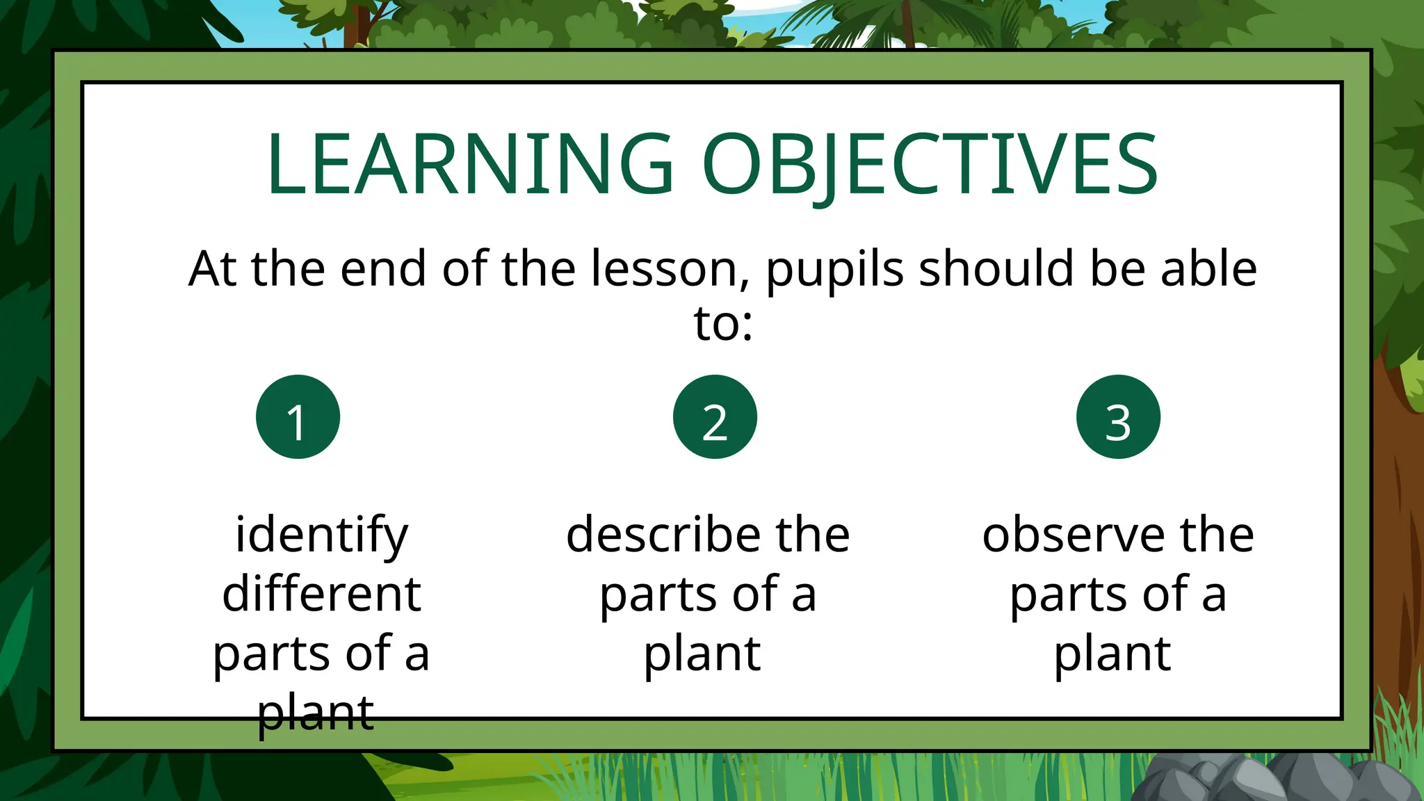 Q2 Science Parts of A Plant (This is a lesson about the different parts ...