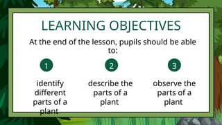 Q2 Science Parts of A Plant (This is a lesson about the different parts ...