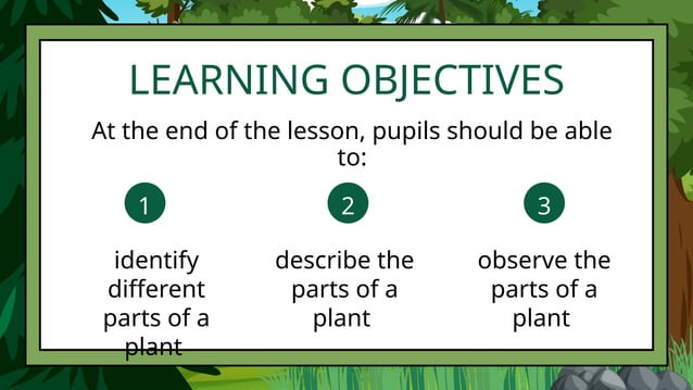 Q2 Science Parts of A Plant (This is a lesson about the different parts ...